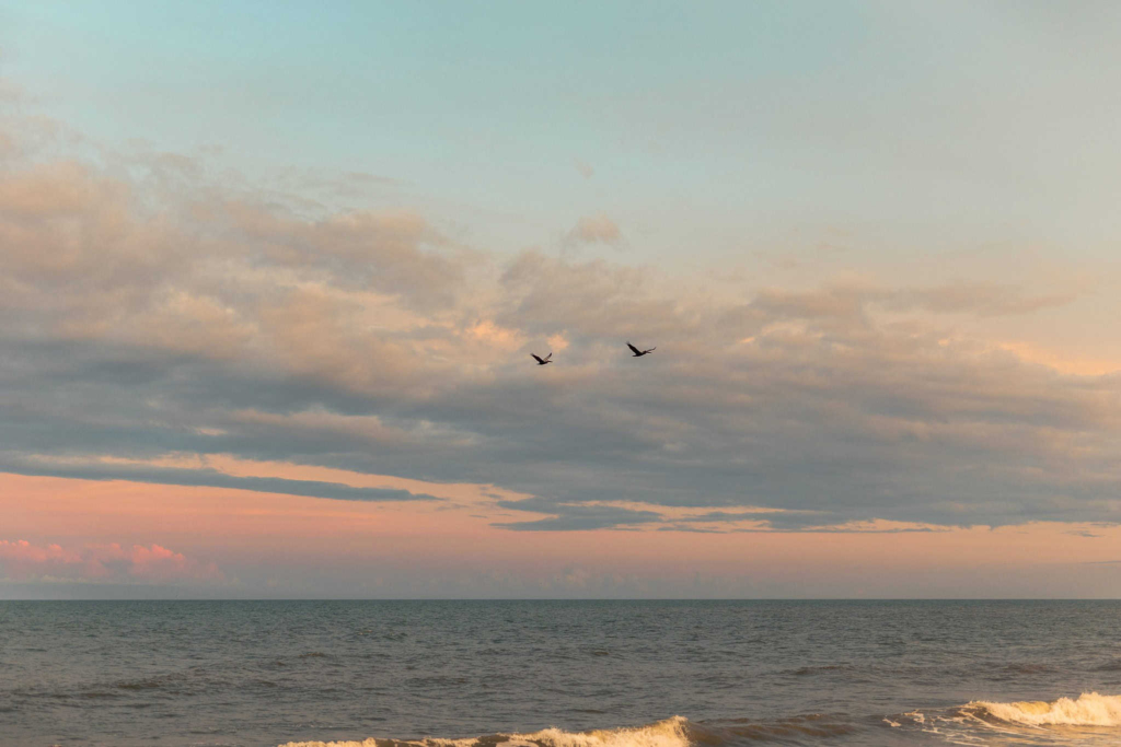 What to do on Folly in the Winter - Visit Folly Beach, SC - Official ...