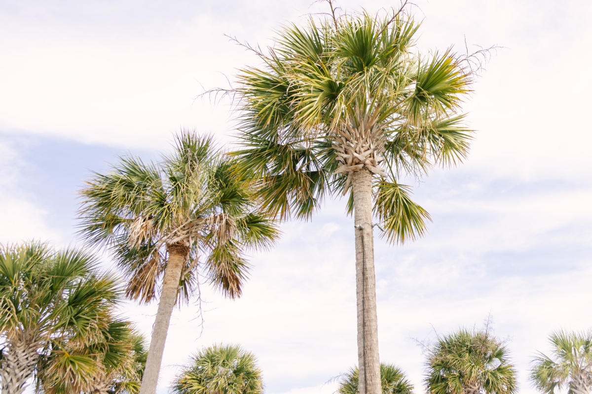 Folly Beach Crab Shack - Visit Folly Beach, SC - Official Visitor's Website
