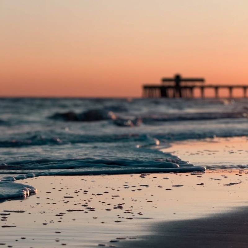 Pier 101 - Visit Folly Beach, SC - Official Visitor's Website