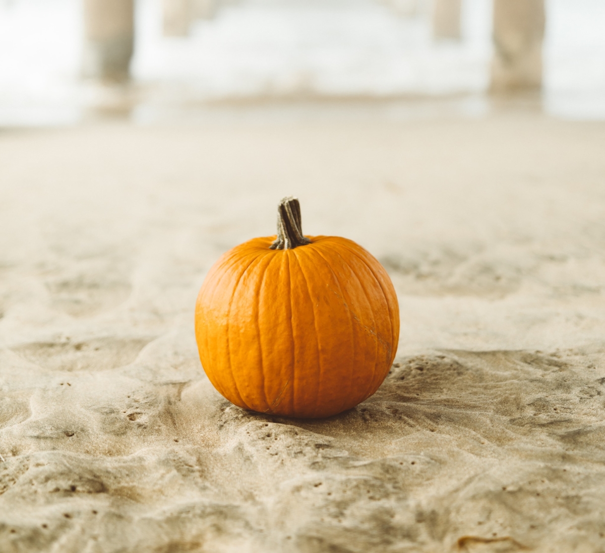 Official Guide to Charleston’s Beach Town | Visit Folly Beach